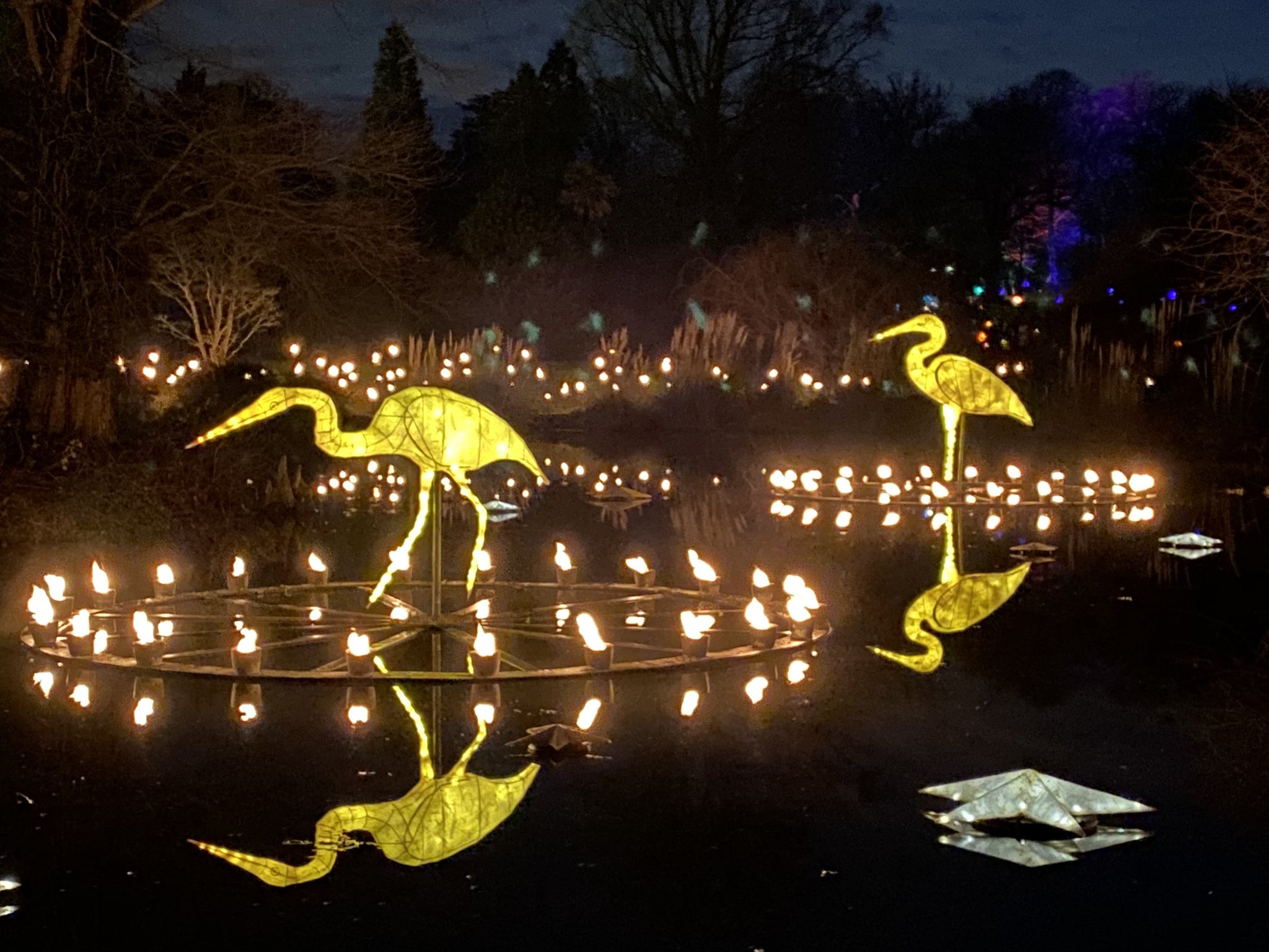 A Day Out at Glow Wild Wakehurst 2020 ⋆ Jupiter & Dann