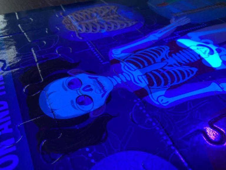 Learning with The Human Body - Under X-Ray Toy ⋆ Jupiter & Dann