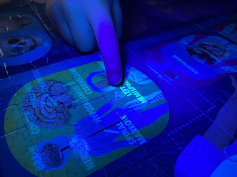 Learning with The Human Body - Under X-Ray Toy ⋆ Jupiter & Dann