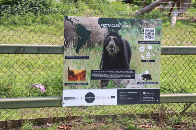 Seeing the Animals at Port Lympne Safari Park ⋆ Jupiter & Dann