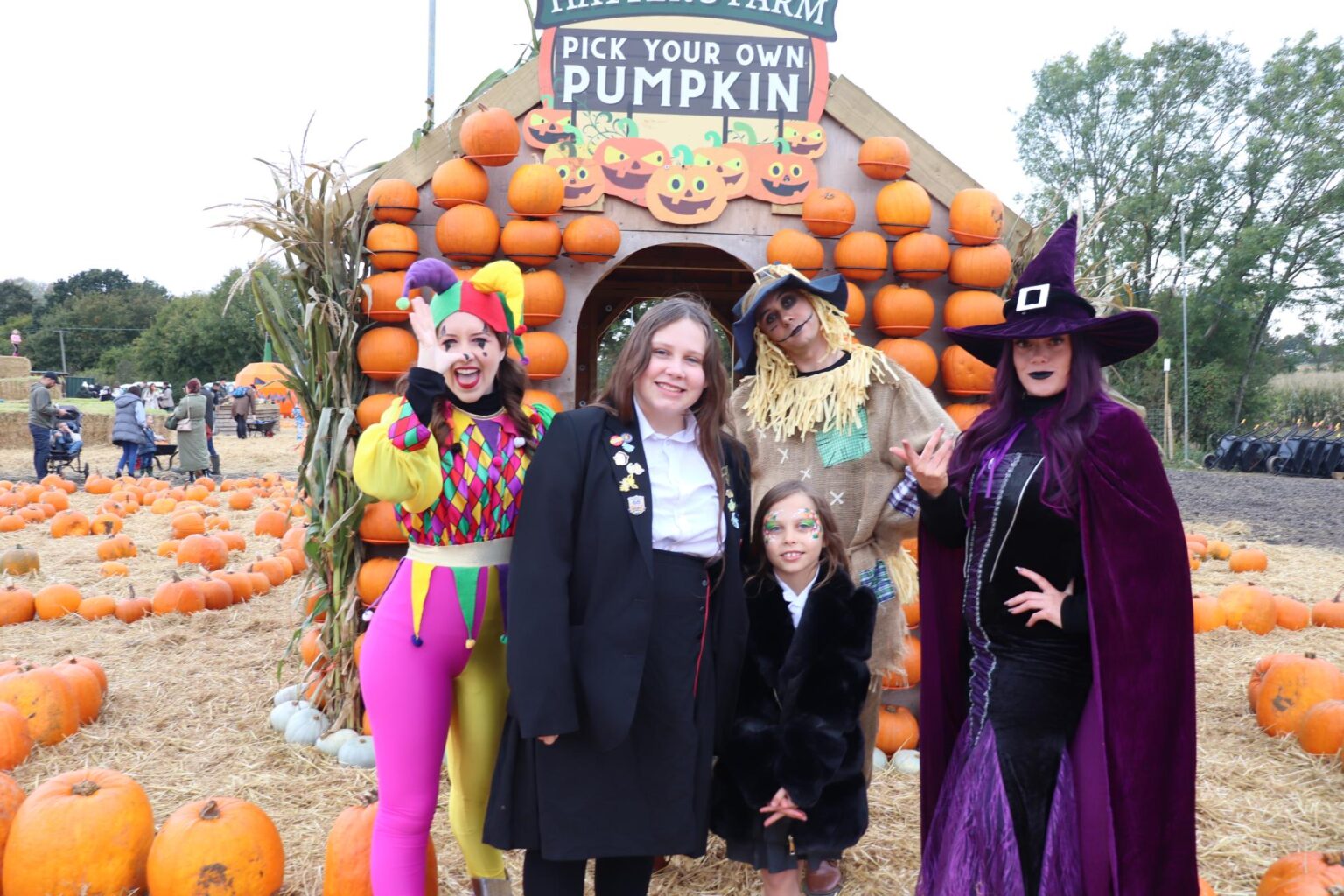 Pumpkin Picking at Hatter's Farm ⋆ Jupiter & Dann