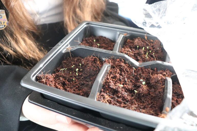 Gardening with Pot Gang ⋆ Jupiter & Dann