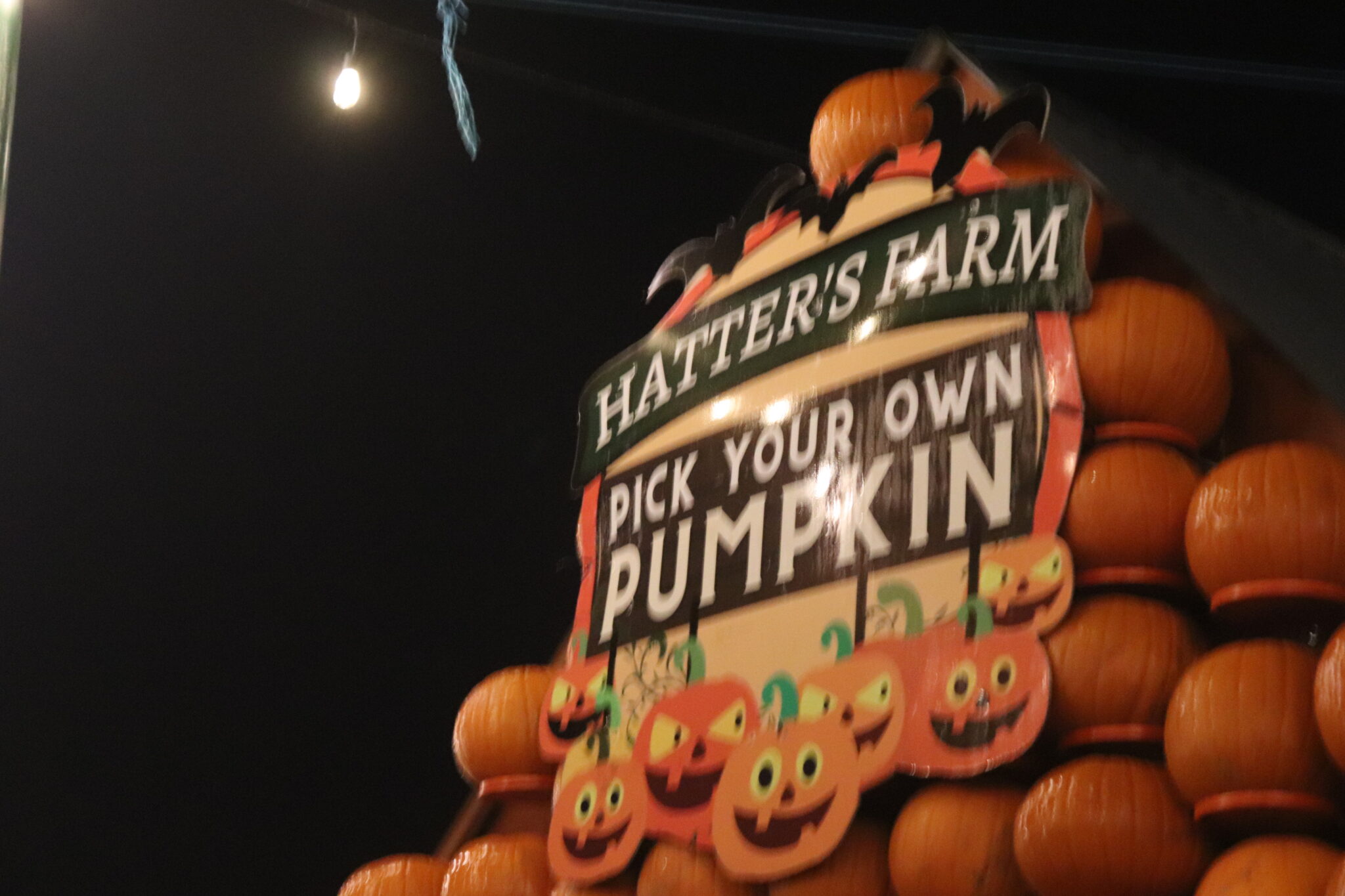 Pumpkin Nights at Hatter's Farm ⋆ Jupiter & Dann